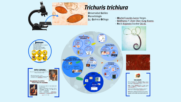 CASO CLÍNICO 3. NEMATODOS ("Trichuris trichiura") by Chien-Shan Hung ...