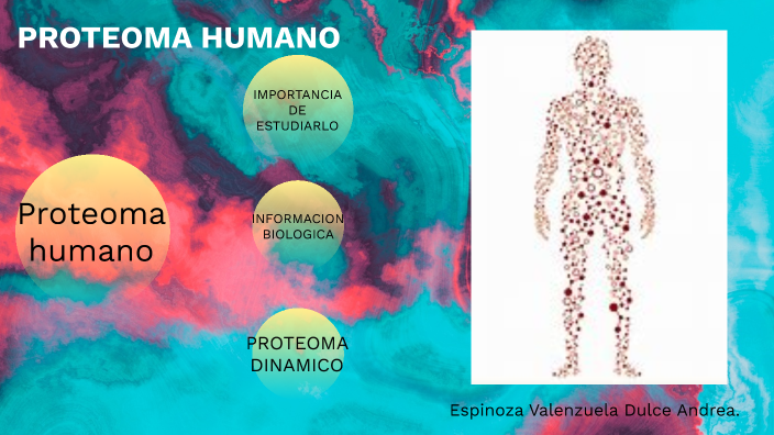 Proteoma Humano by Andrea Valenzuela on Prezi