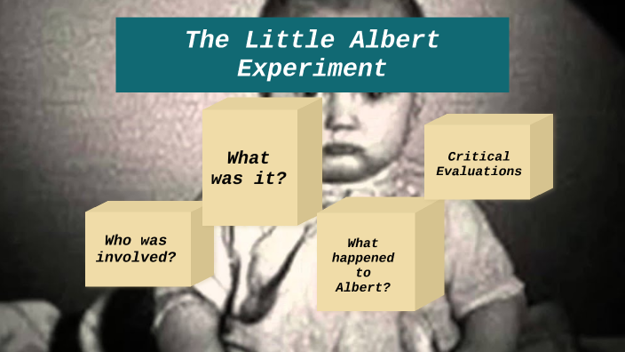 What is the Little Albert Experiment? by Ariana Dymnicki on Prezi
