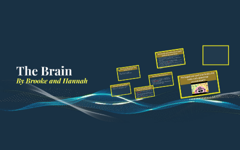 The Brain by marion bickers on Prezi