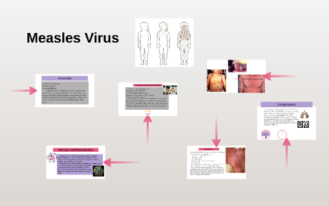 Measles Life Cycle