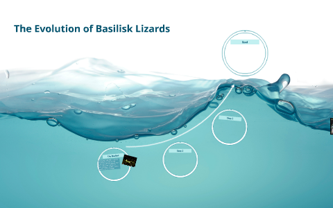 Evolution of basilisk llizard by Gabriela Sanchez on Prezi