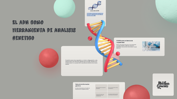 El ADN como herramienta de analisis genetico by nicoll tapia on Prezi