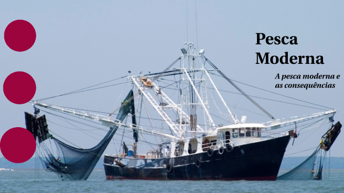 Pesca moderna by Ana Leonor Oliveira on Prezi
