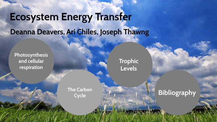 Ecosystem energy transfer by Deanna Deavers on Prezi