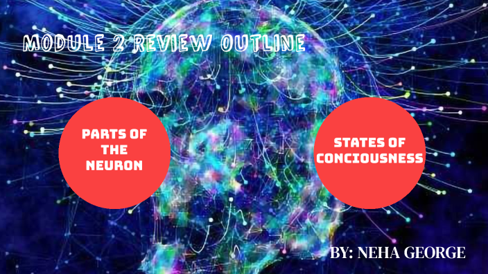 Module 2 Review Outline by Neha George on Prezi