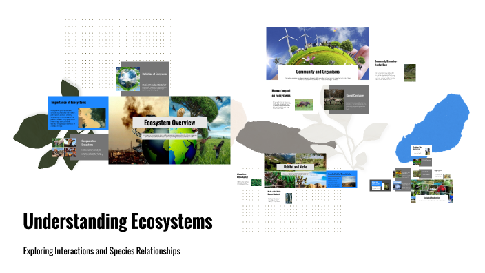 Understanding Ecosystems by Madilynn Penn on Prezi