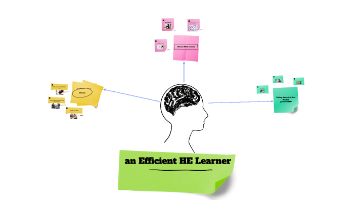 How to Become an Efficient HE Learner by Andrew Gorman on Prezi
