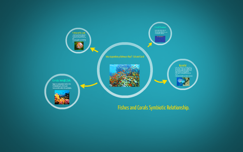 Fishes and corals symbiotic relationship. by sarah b on Prezi