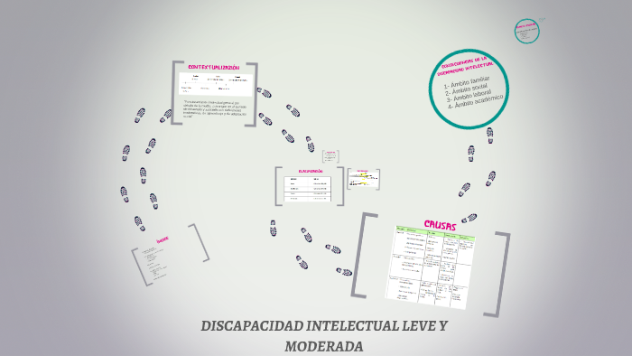 DISCAPACIDAD INTELECTUAL LEVE Y MODERADA by