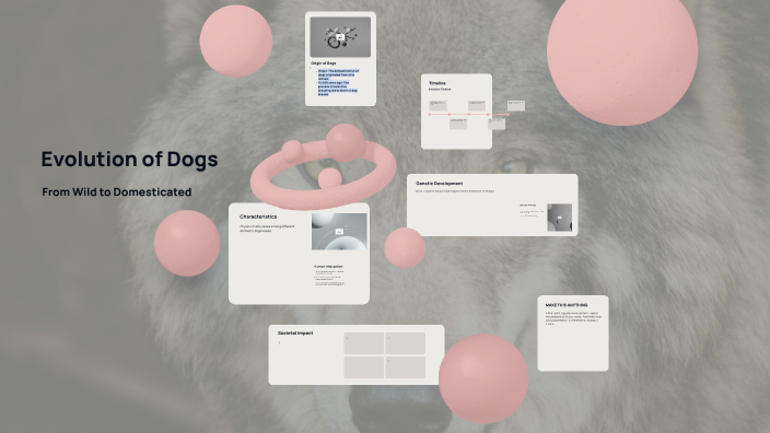 Evolution of Dogs by adriana martinez on Prezi