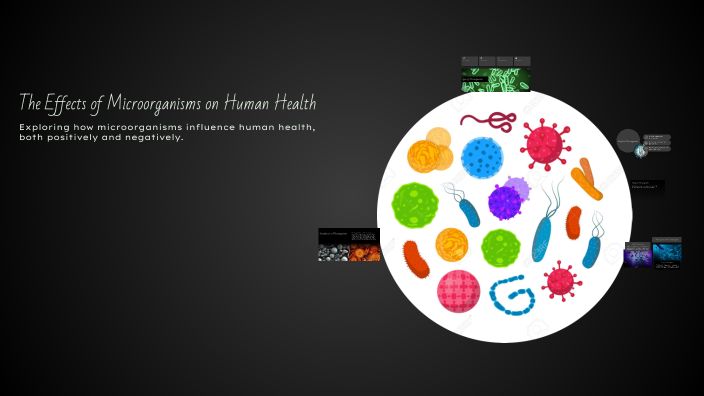The Effects of Microorganisms on Human Health by Liam Gagé on Prezi