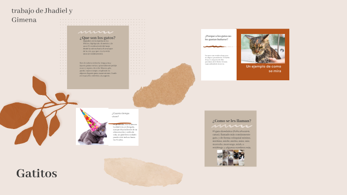 cats! by anecacaneculo on Prezi