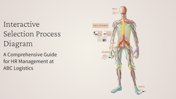 Interactive Selection Process Diagram by kauthar du toit on Prezi