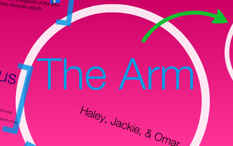 Arrrrrmmmmmmmmm by haley novosad on Prezi