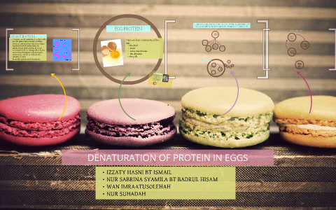 DENATURATION OF PROTEIN IN EGGS by on Prezi