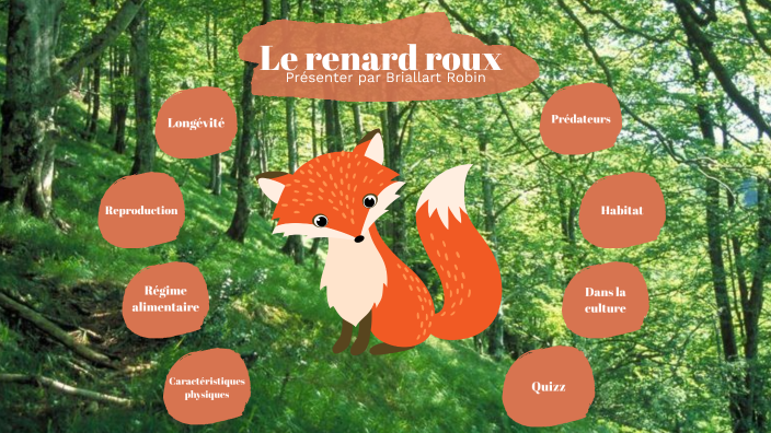 Renard by Héloïse Briallart on Prezi