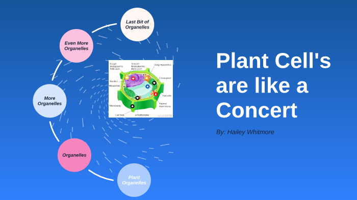 Plant Cells are like a Concert by Hailey Whitmore on Prezi