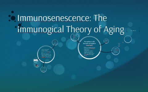 Immunosenescence: The Immunogical Theory of Aging by Drew T on Prezi