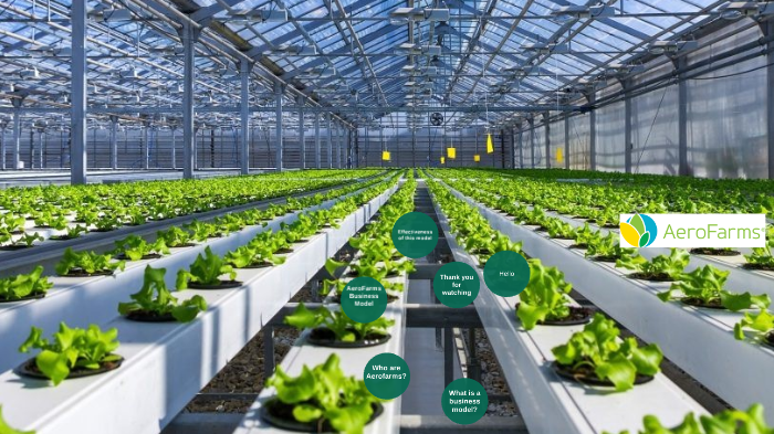(For Prezi Video) (For Prezi Video) (For Prezi Video) AeroFarms by Josh ...