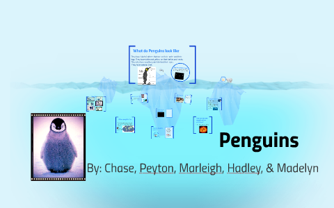 Penguins by Jessica Seale on Prezi