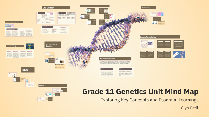 Grade 11 Genetics Unit Mind Map by Siya Patil on Prezi