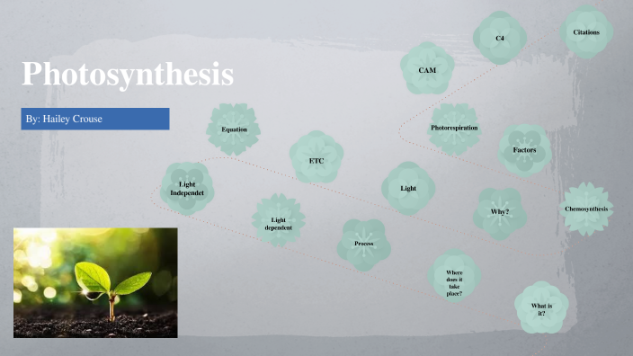 Photosynthesis by Hailey Crouse on Prezi