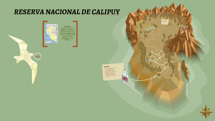 RESERVA NACIONAL DE CALIPUY by krisly carol melendez huanca on Prezi
