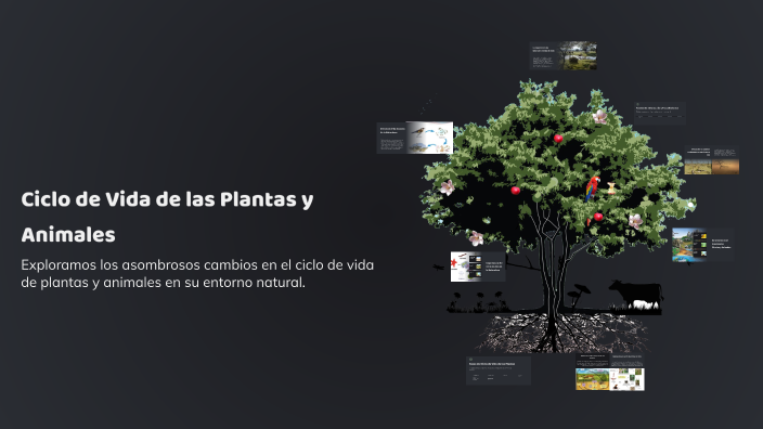 Ciclo de Vida de las Plantas y Animales by dafne navarro on Prezi