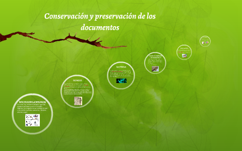 Conservación y preservación de los documentos by Carolina Vargas on Prezi