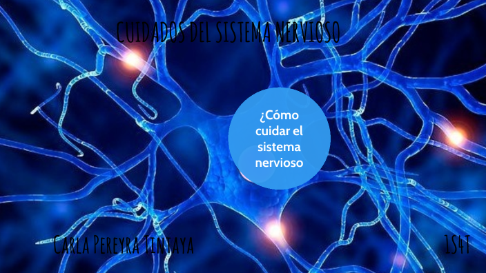 Cuidados del sistema nervioso by Carla Valentina Pereyra Tintaya on Prezi