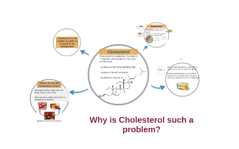 LDL and HDL cholesterol - edexcel by laura roberts on Prezi