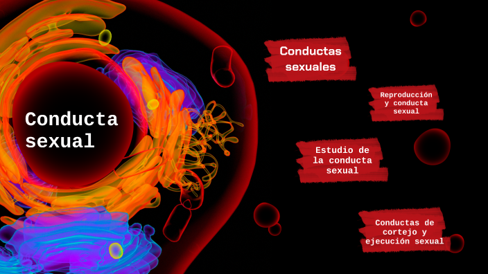 Conducta Sexual By Psi Cl Xavier Garcia Lomas Mcs On Prezi