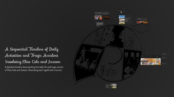 A Sequential Timeline of Daily Activities and Tragic Accident Involving ...