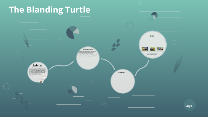 Science inquiry project Blanding turtle by Laura Veitch on Prezi