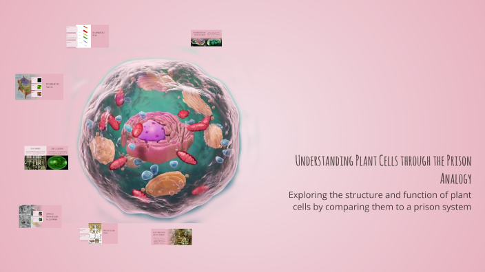 Understanding Plant Cells through the Prison Analogy by Jordan Javier ...
