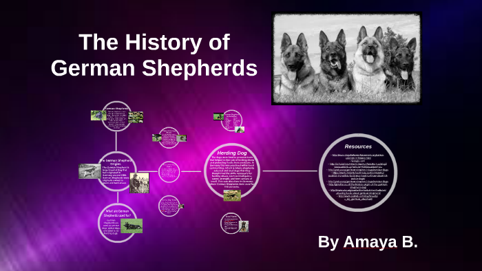 The History of German Shepherds by Amaya Brito on Prezi