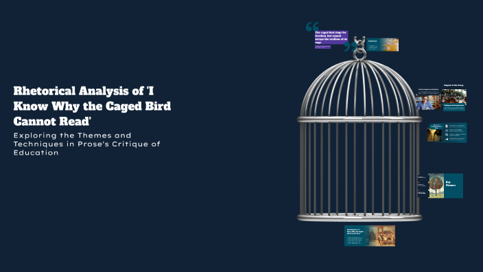 Rhetorical Analysis of 'I Know Why the Caged Bird Cannot Read' by Mr ...
