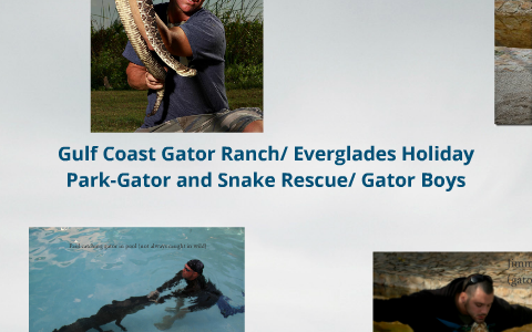 Gulf Coast Gator Ranch/ Everglades Holiday Park/ Gator Boys by Lil' Angel