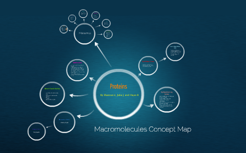 Macromolecules Concept Map by Shannon Canitz on Prezi