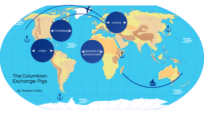 The Colombian Exchange:Pigs by MADISON SHOW on Prezi