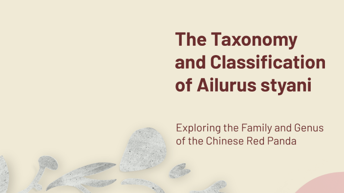The Taxonomy and Classification of Ailurus styani by James nguyen on Prezi