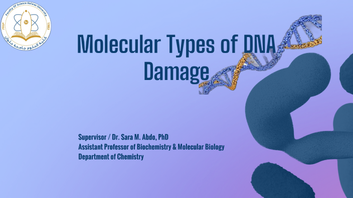Molecular Types of DNA Damage by SHAHD emad on Prezi