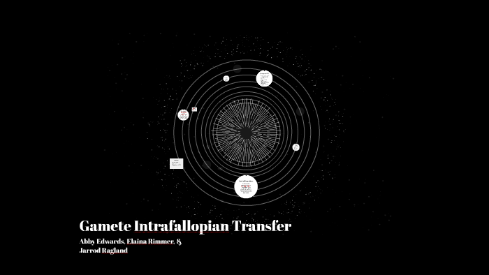 Gamete Intrafallopian Transfer by Abby Edwards on Prezi