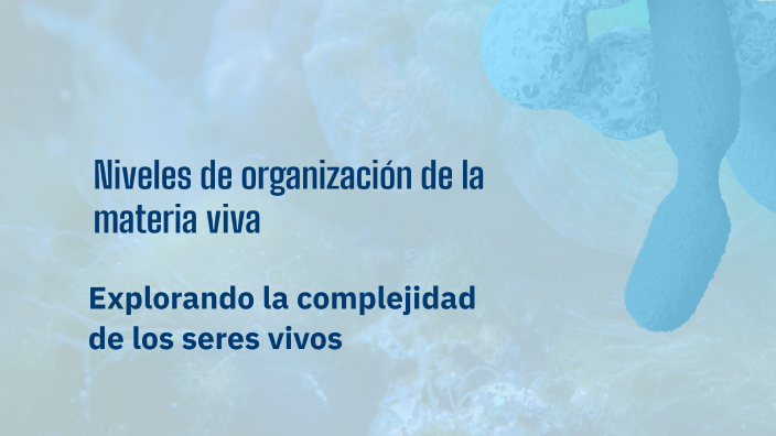 Niveles de organización de la materia viva by Alan David Rauda Cortés ...