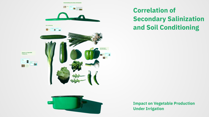 Correlation of Secondary Salinization and Soil Conditioning by nour ben on Prezi