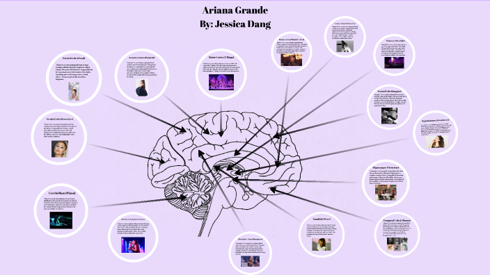 Celebrity Brain Project by jessica dang on Prezi