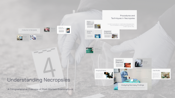 Understanding Necropsies by Carmen on Prezi