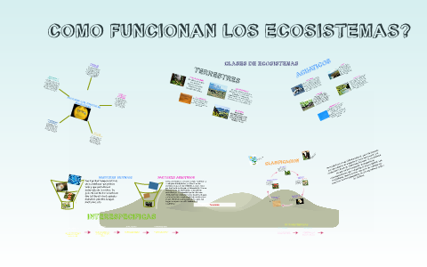 COMO FUNCIONAN LOS ECOSISTEMAS? by alejadra garces on Prezi