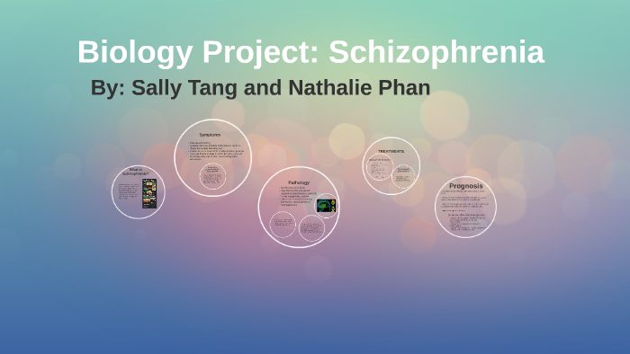 Schizophrenia Project by Sally Tang